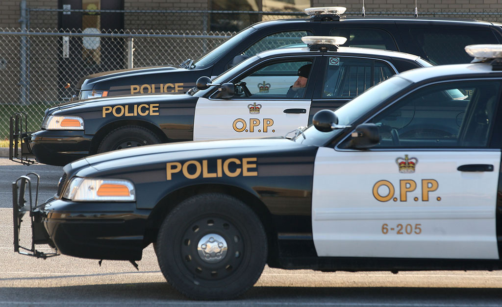 OPP Car Deer Collisions Hand Out - Lake Kashagawigamog Organization.